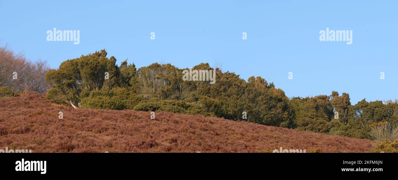 Rebild national park denmark hi-res stock photography and images - Alamy