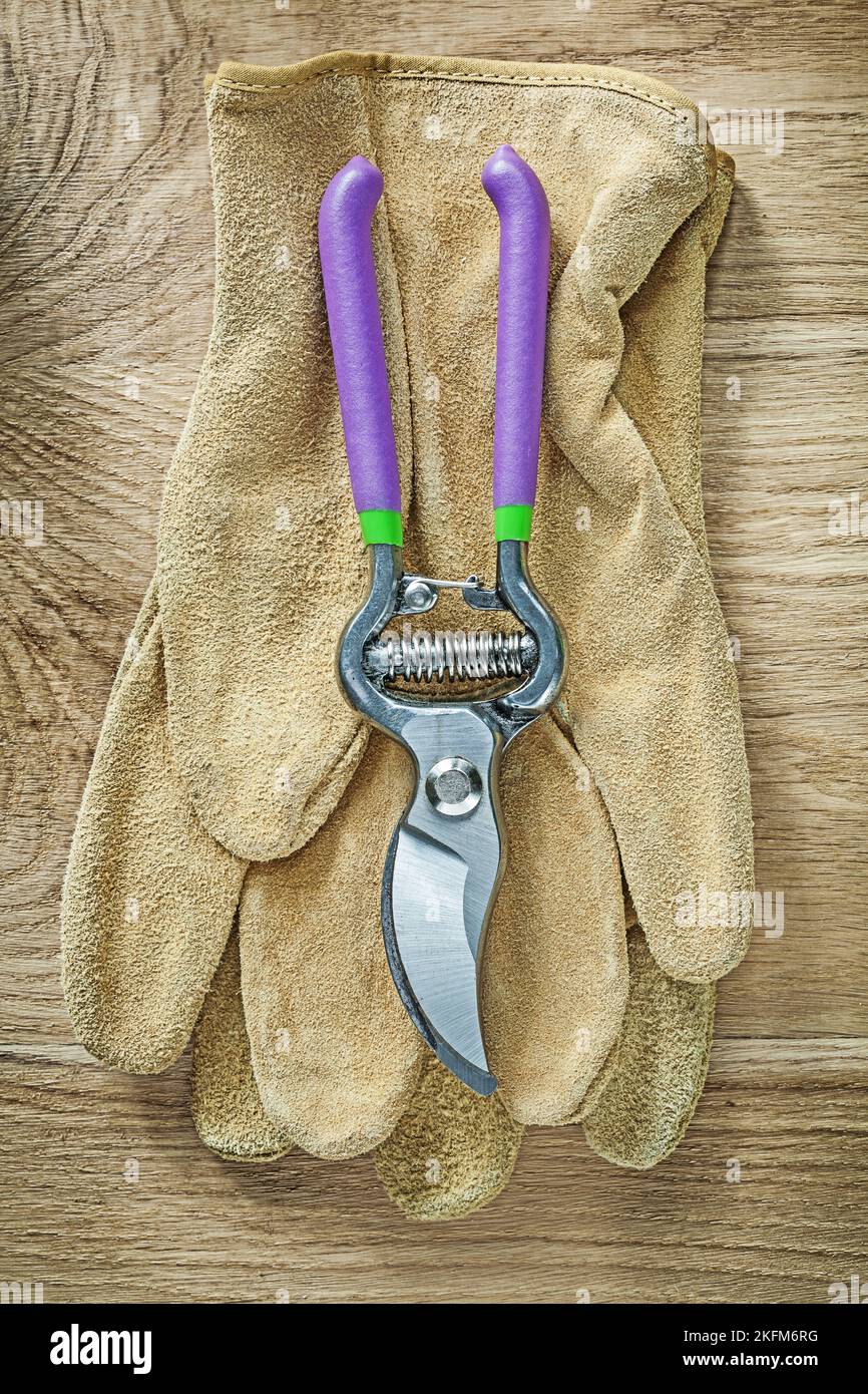 Leather protective gloves pruning shears on wooden board gardening ...
