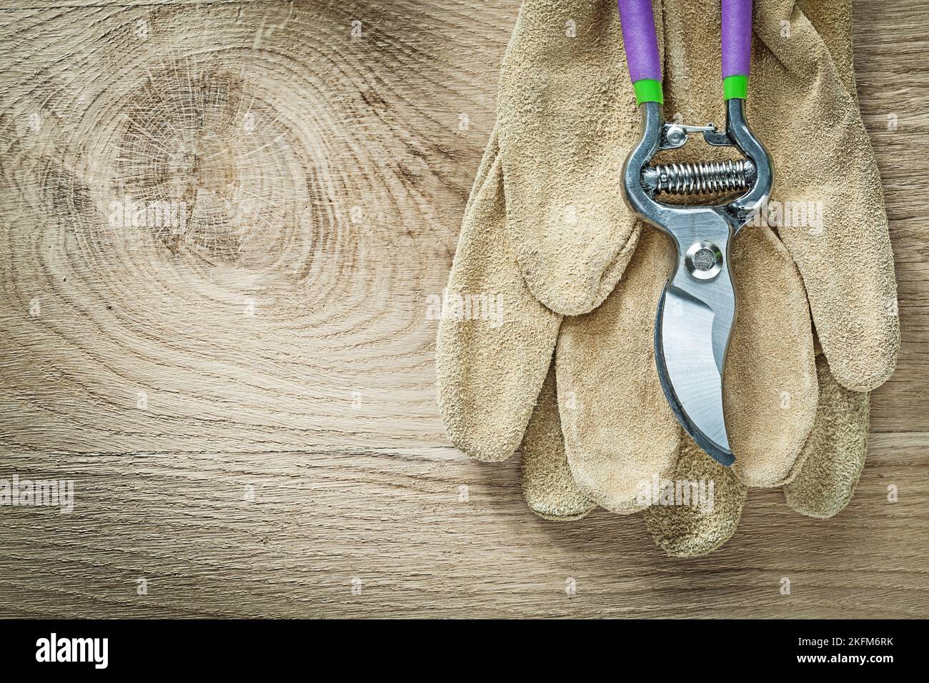 Leather protective gloves pruning shears on wooden board agriculture ...