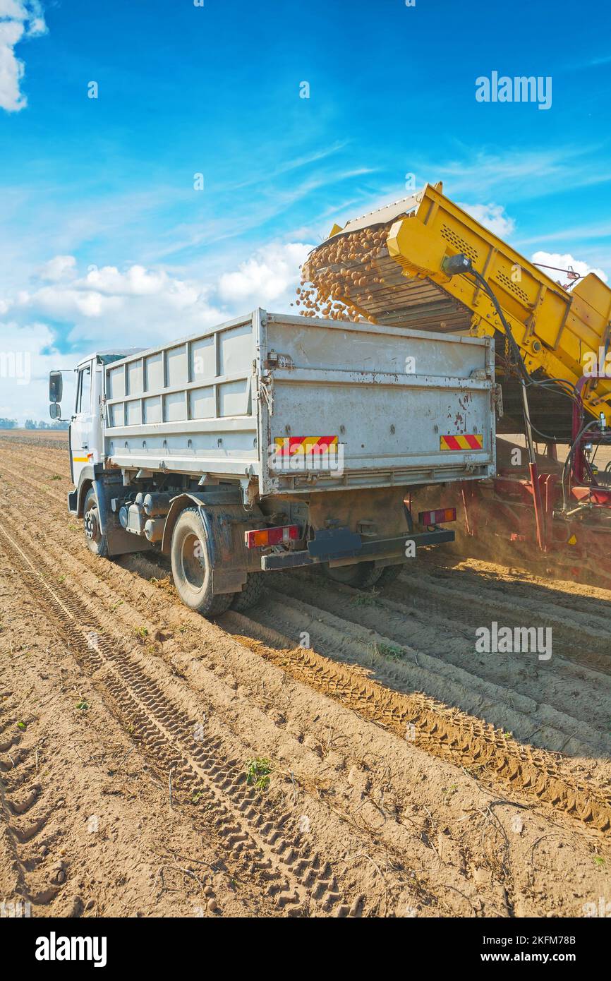 Loading potato planting machine hi-res stock photography and images - Alamy