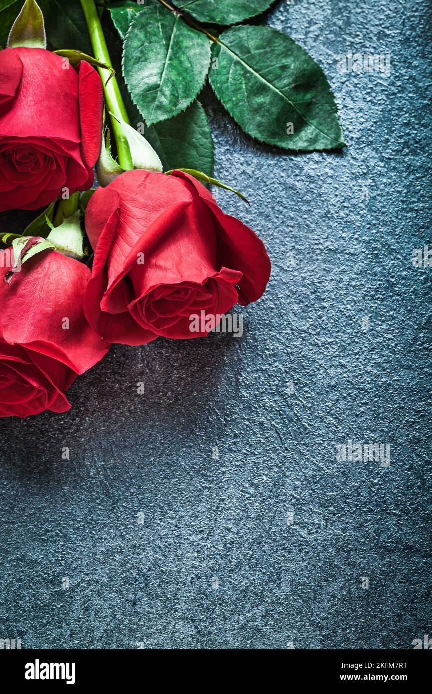 Natural red roses on black background celebrations concept Stock Photo ...