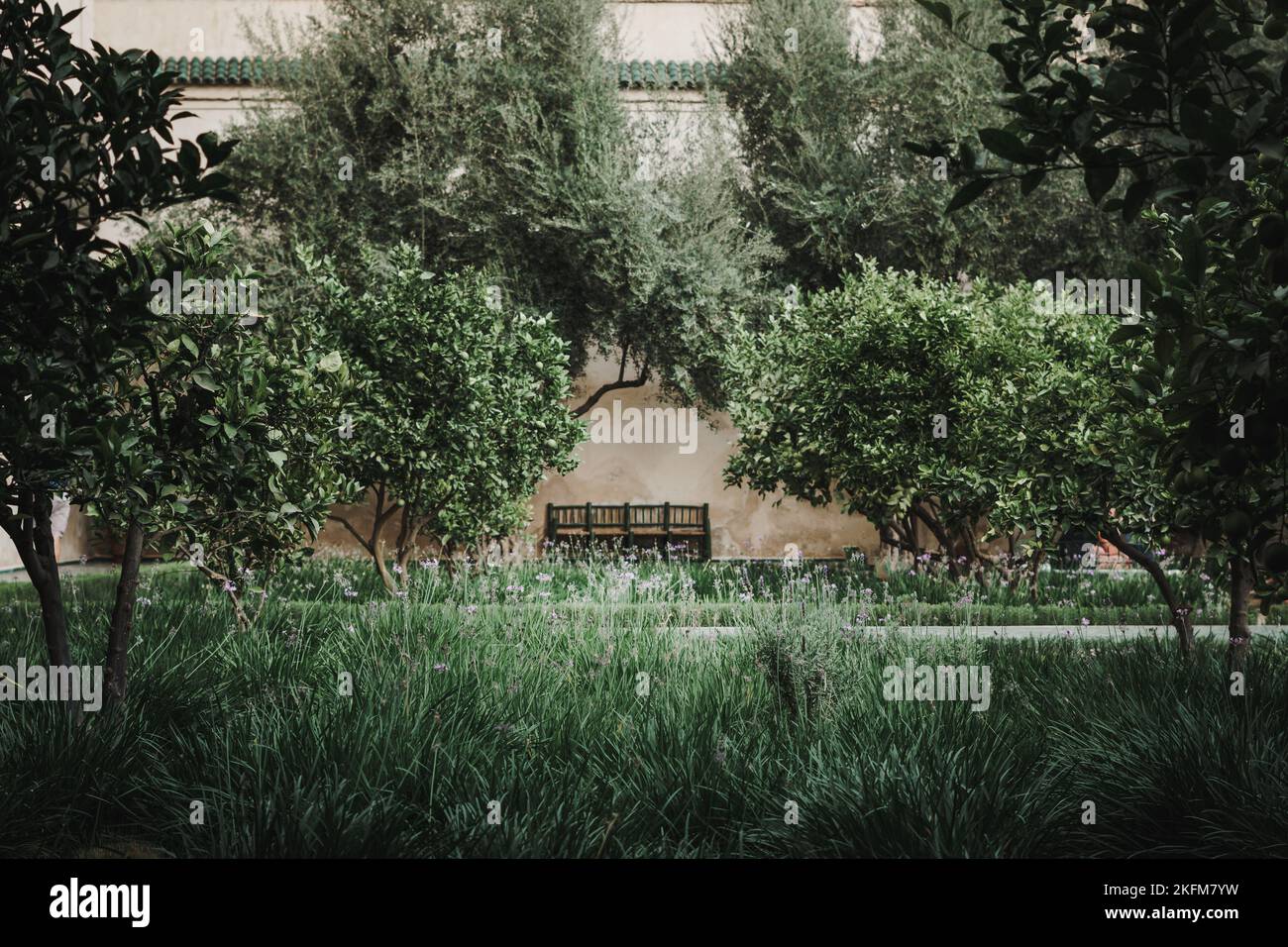 The Secret Garden in Marrakech, Morocco. Copy space available Stock ...