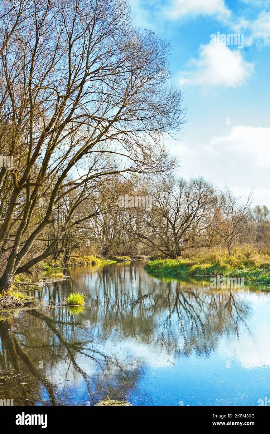 non leafy trees on small river Stock Photo - Alamy