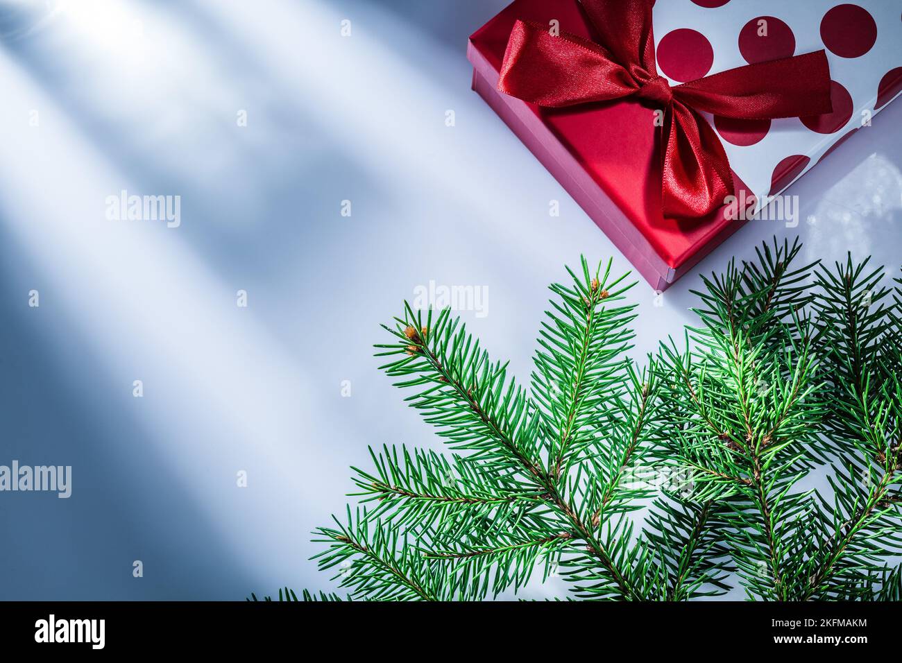 Pine tree branch gift box on white background Stock Photo - Alamy