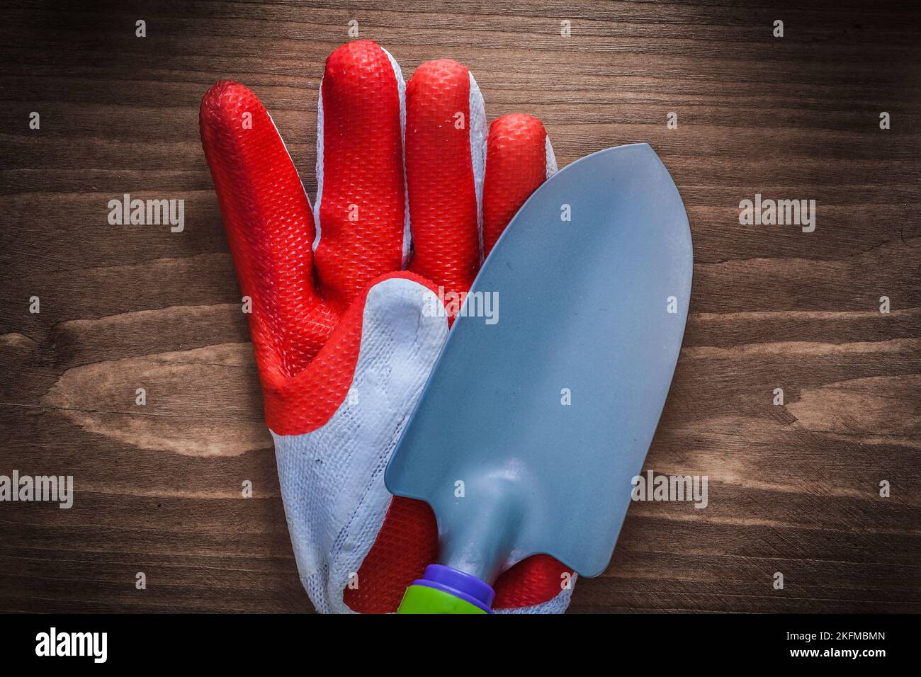 Protective gloves and stainless gardening shovel agriculture concept ...