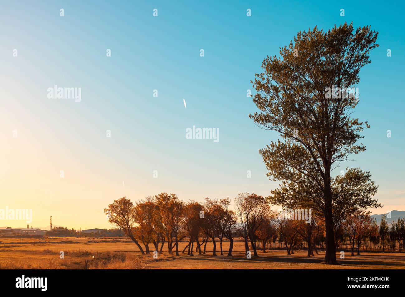 Autumn landscape on rural plain with yellowed leafy trees. Wallpaper ...