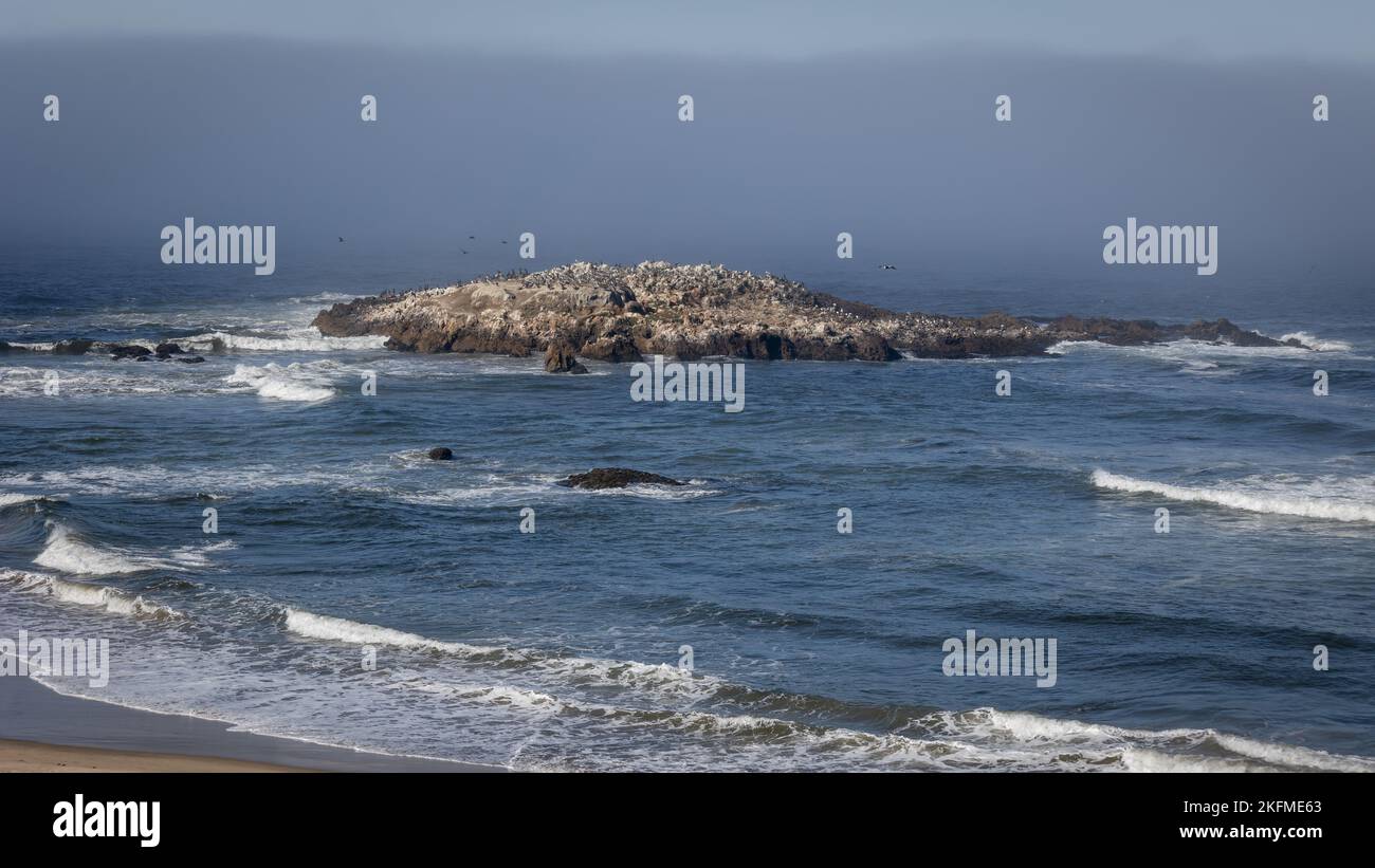 The coastline of the beautiful northern Pacific Ocean on highway 1 in ...