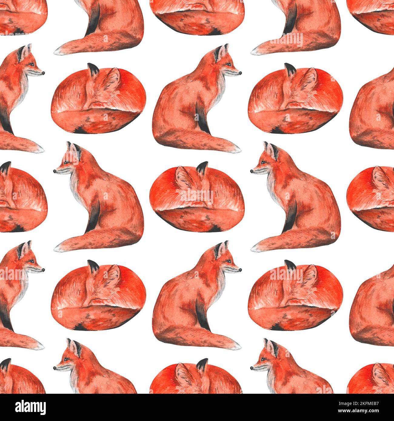 pattern of sly red fox set on isolated white background, hand drawn ...