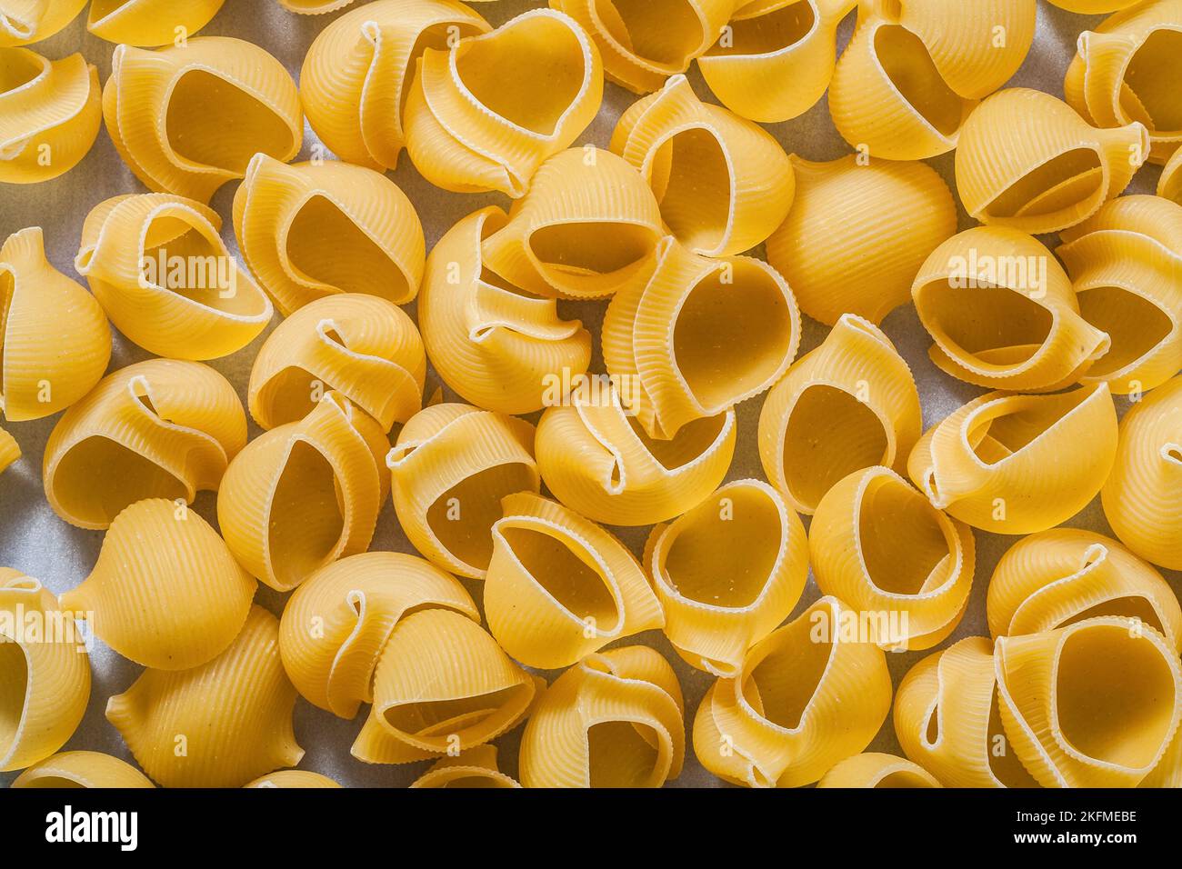 Shell macaroni background food and drink concept Stock Photo - Alamy