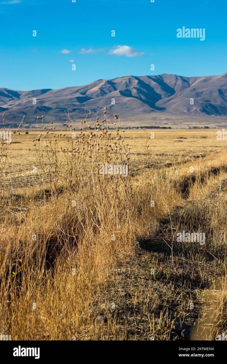 Plain soil hi-res stock photography and images - Alamy