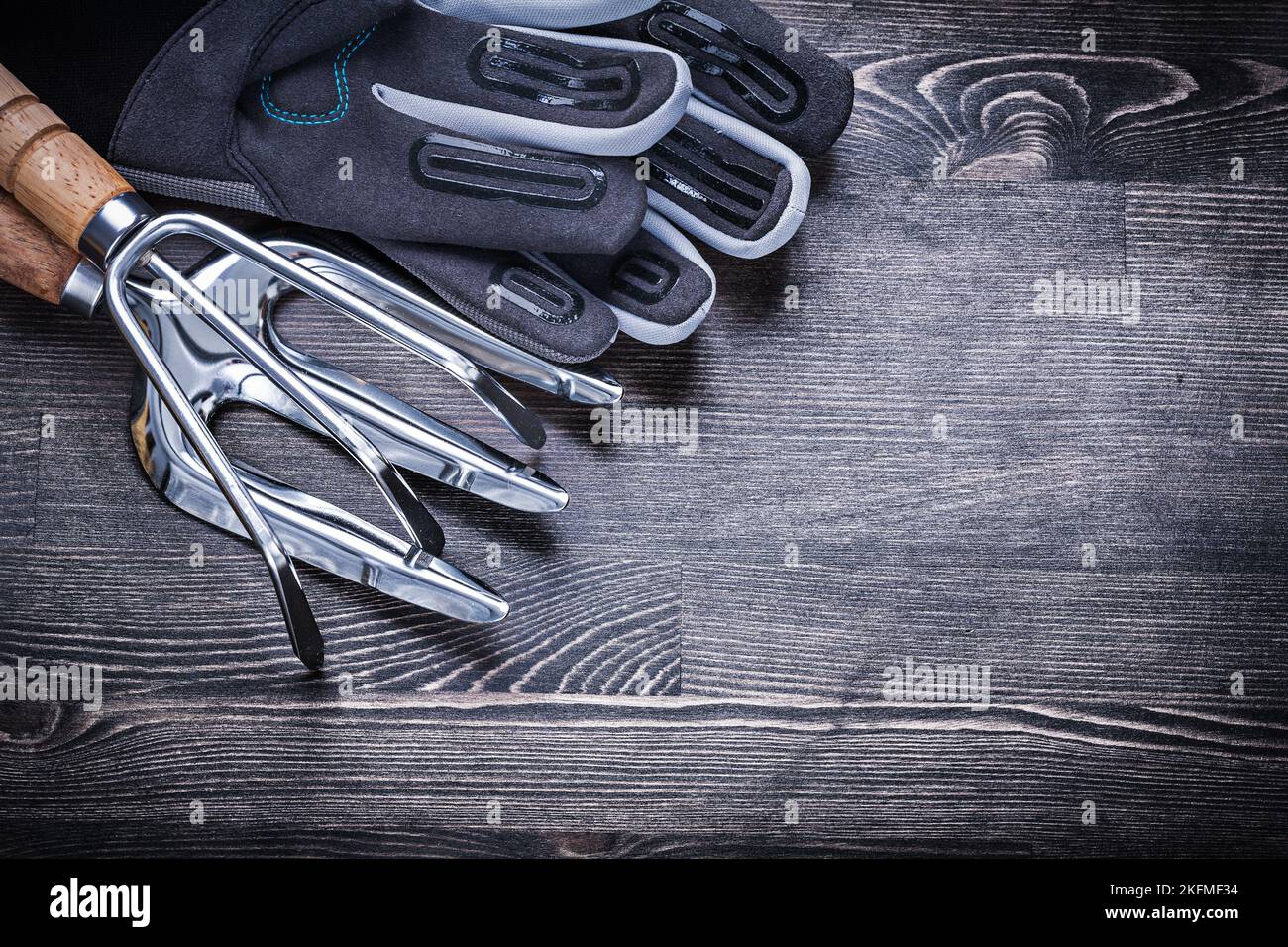 Stainless rake trowel fork protective gloves agriculture concept Stock ...