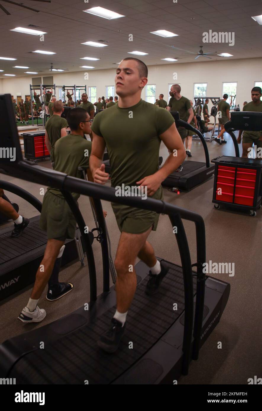 Romeo company hi-res stock photography and images - Alamy