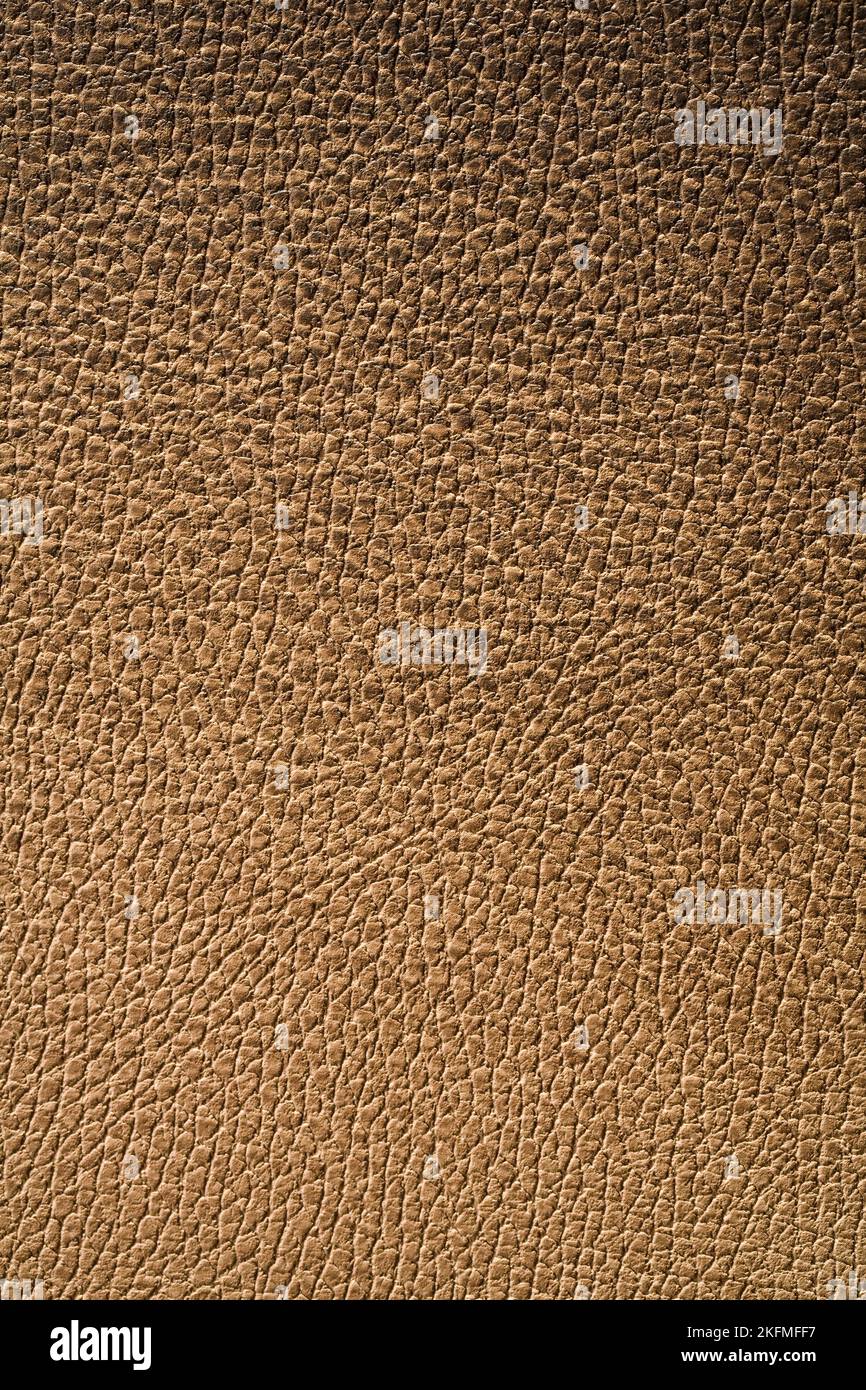texture of leather Stock Photo - Alamy