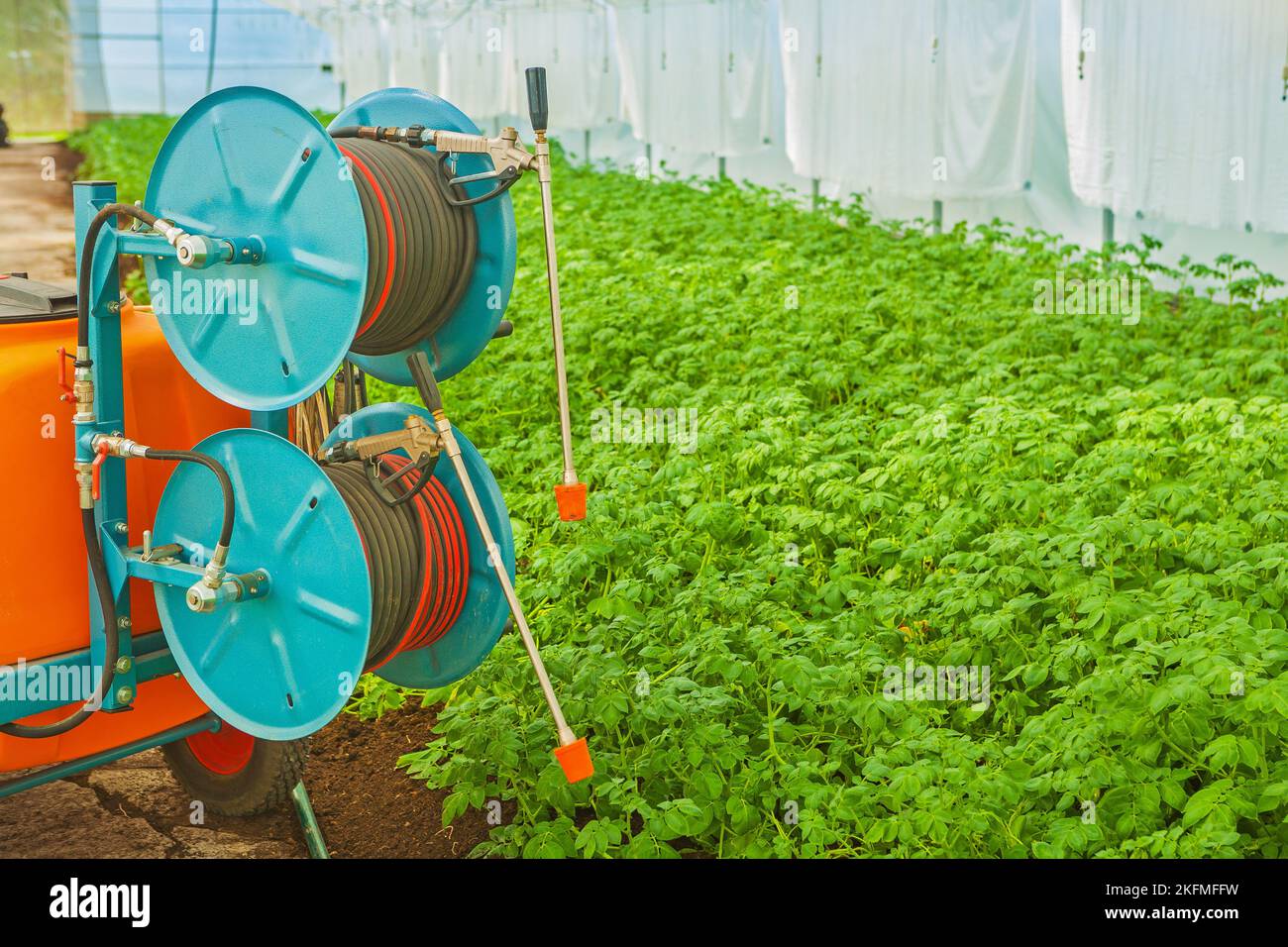 the irrigation tool in modern greenhouse close up rear view horizontal ...