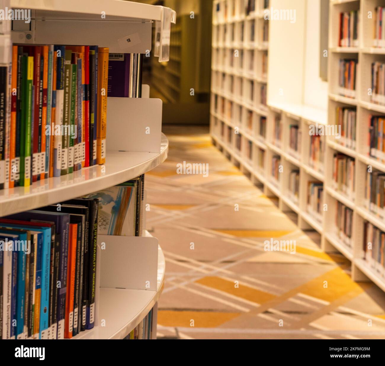 Dubai, UAE - 10.15.2022 - At Sheikh Mohammed Bin Rashid public library ...