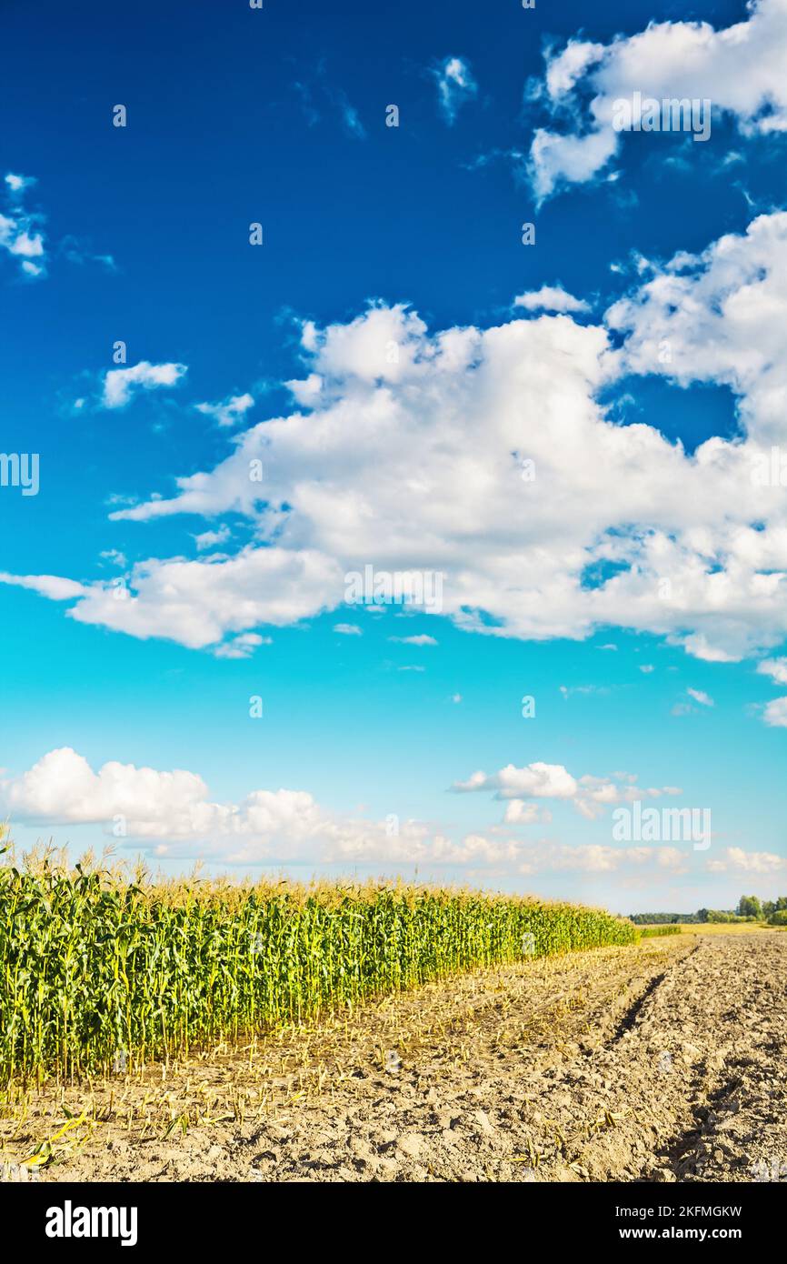 Edge filed hi-res stock photography and images - Alamy