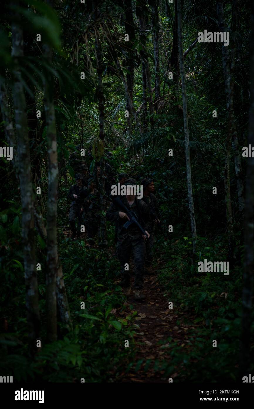 Marine regiment activities hi-res stock photography and images - Alamy