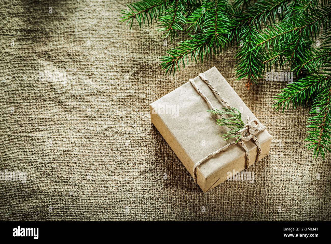 Wrapped gift box thuya pine tree branch on sacking background Stock ...