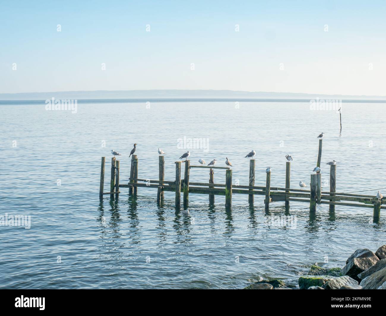The rest of pillars and poles of port mole in fishing Village of Vitt ...
