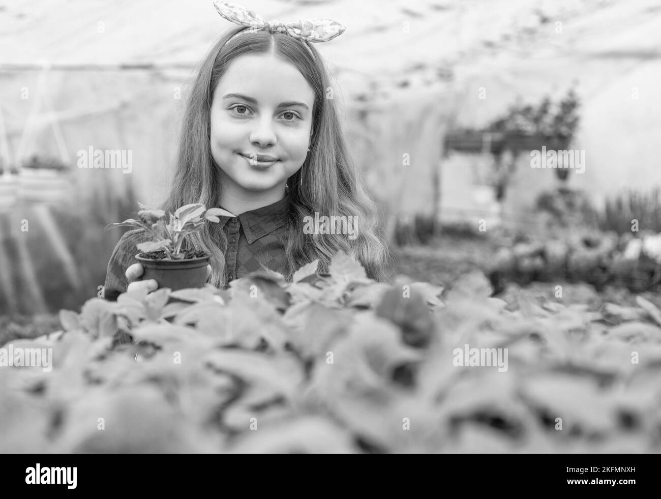 happy teen girl florist planting pot plants in greenhouse, horticulture ...