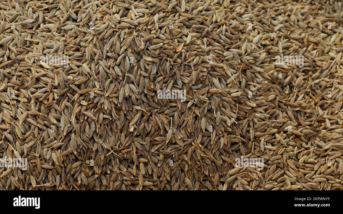 background of thousands of cumin seeds to flavor dishes Stock Photo - Alamy