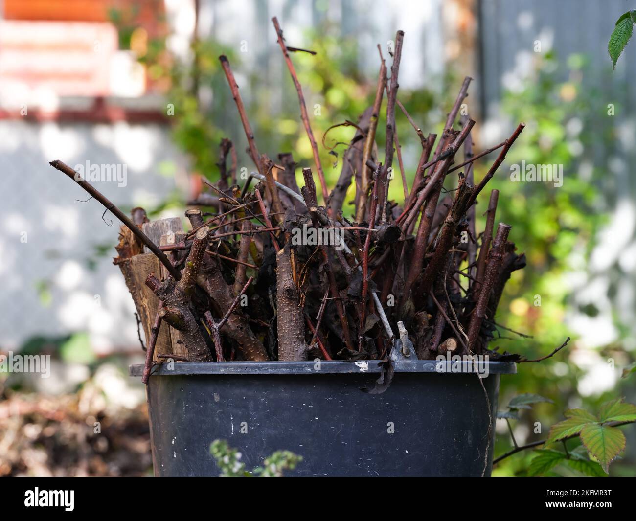 A close-up shot of bucket full of dry sticks in the garden Stock Photo ...