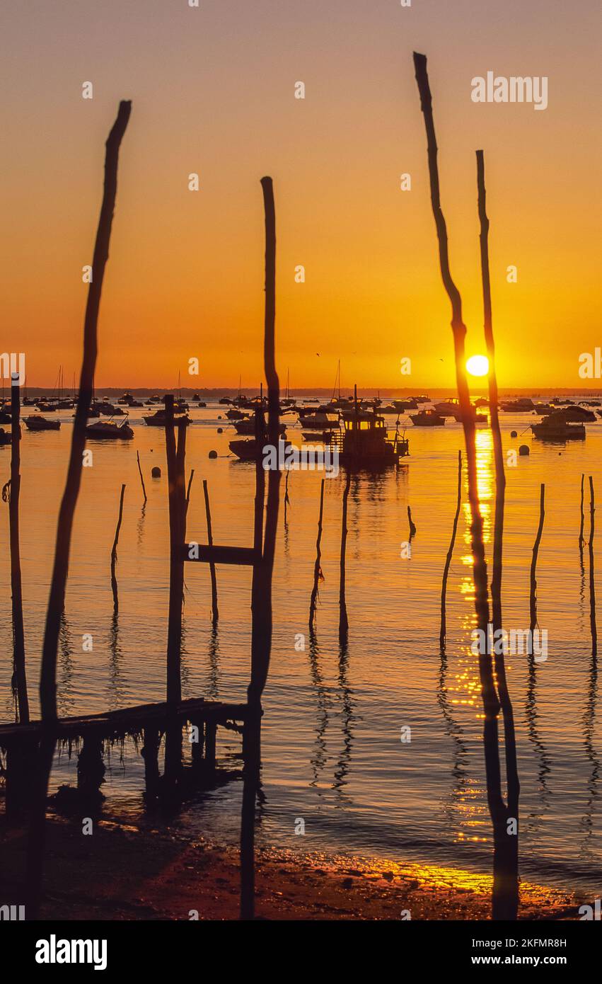 France. Aquitaine. Gironde (33). Bassin d'Arcachon. Sunrise on the ...