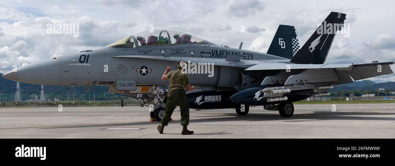 A U.S. Marine Corps F/A-18 Hornet aircraft mechanic with Marine All ...