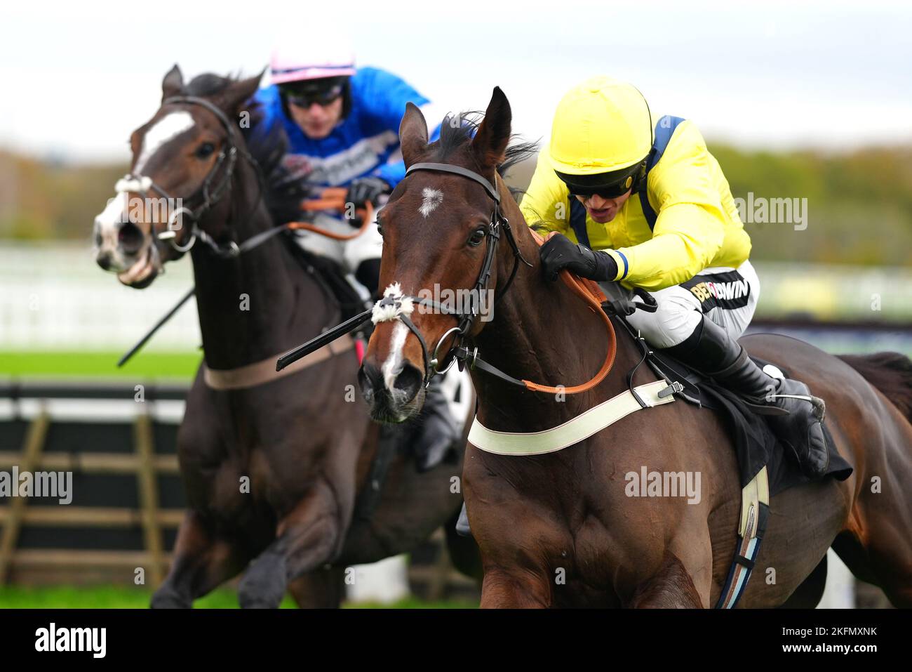 Raceshare hi-res stock photography and images - Alamy