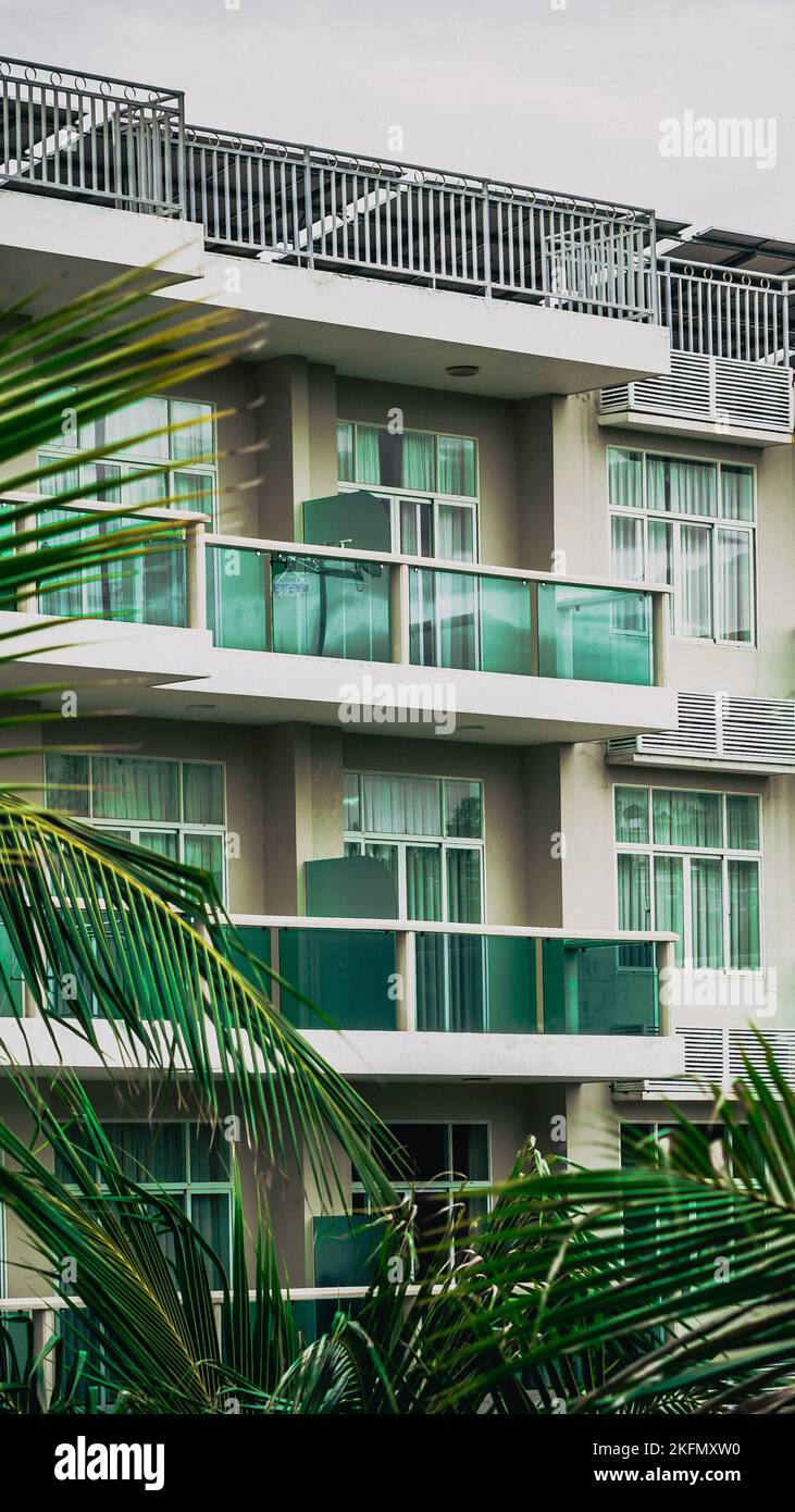 Palm tree branches level windows multi-storey building modern green ...