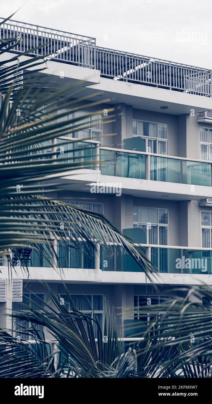 Palm tree branches level windows multi-storey building modern green glass balcony. Architecture ...
