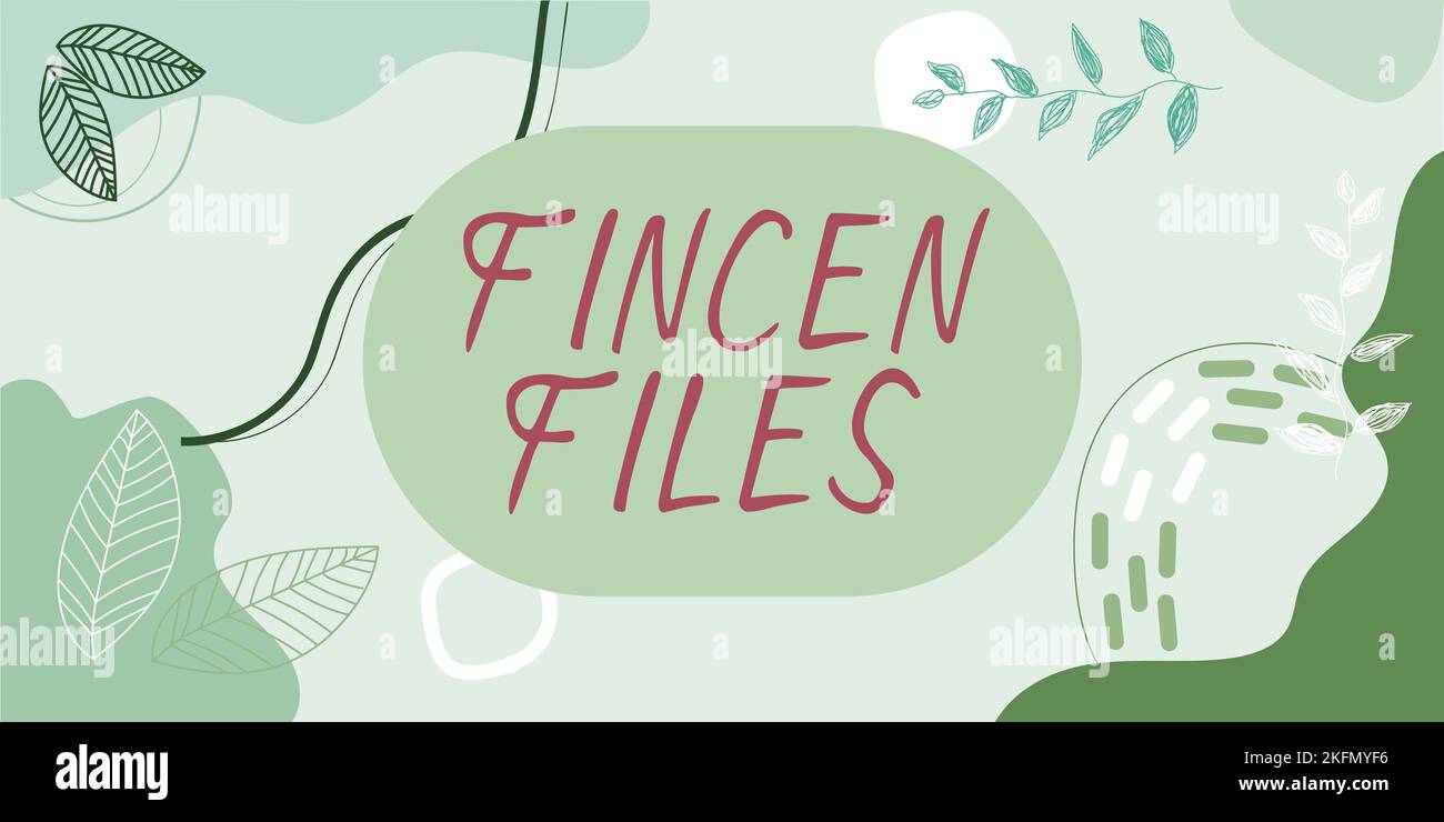 Text caption presenting Fincen Files. Concept meaning Transactions in ...