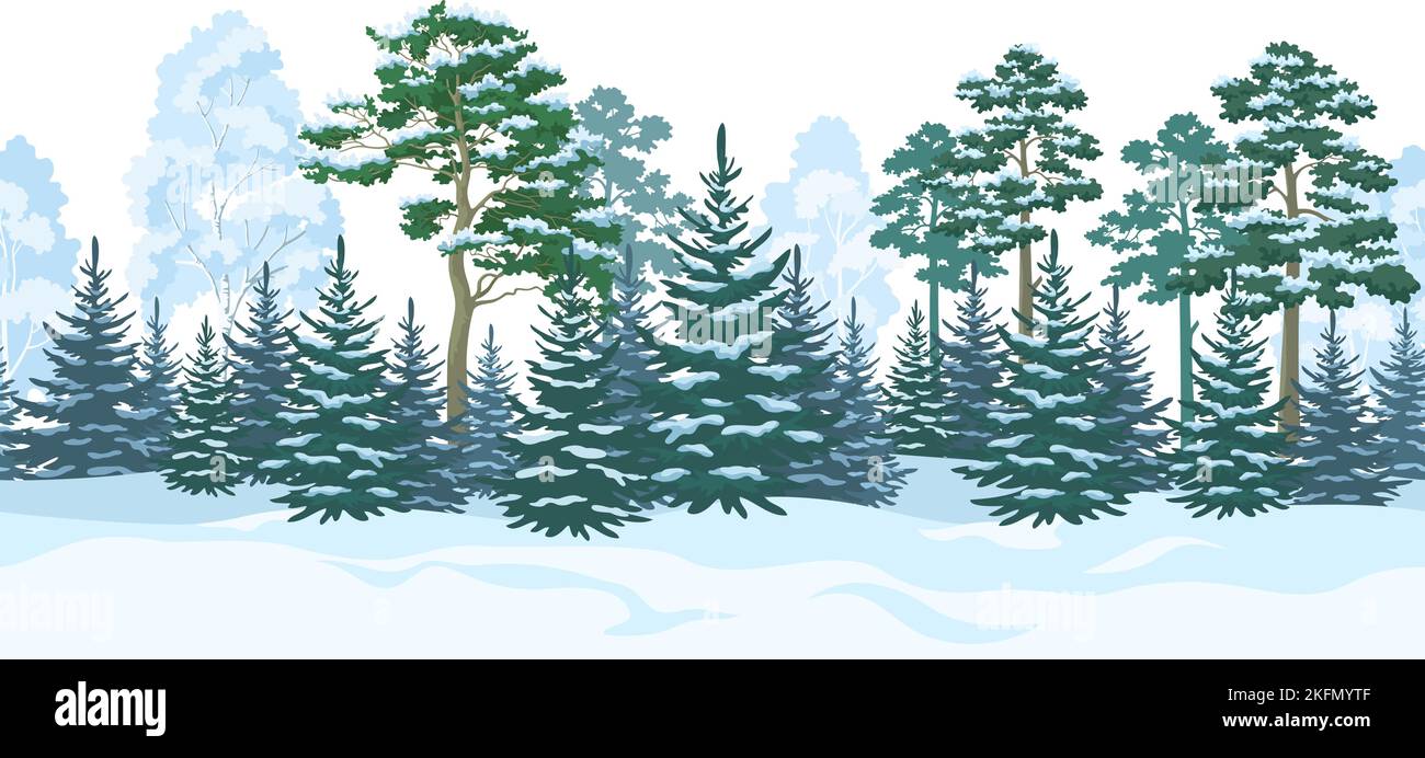 Seamless Horizontal Christmas Winter Forest Landscape with Trees and ...