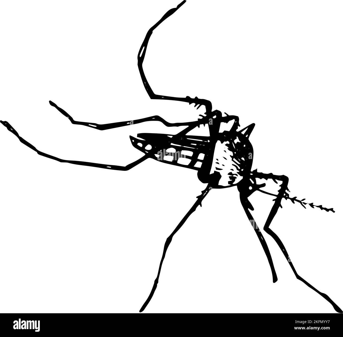 Black silhouette of mosquito on white background Stock Vector Image ...