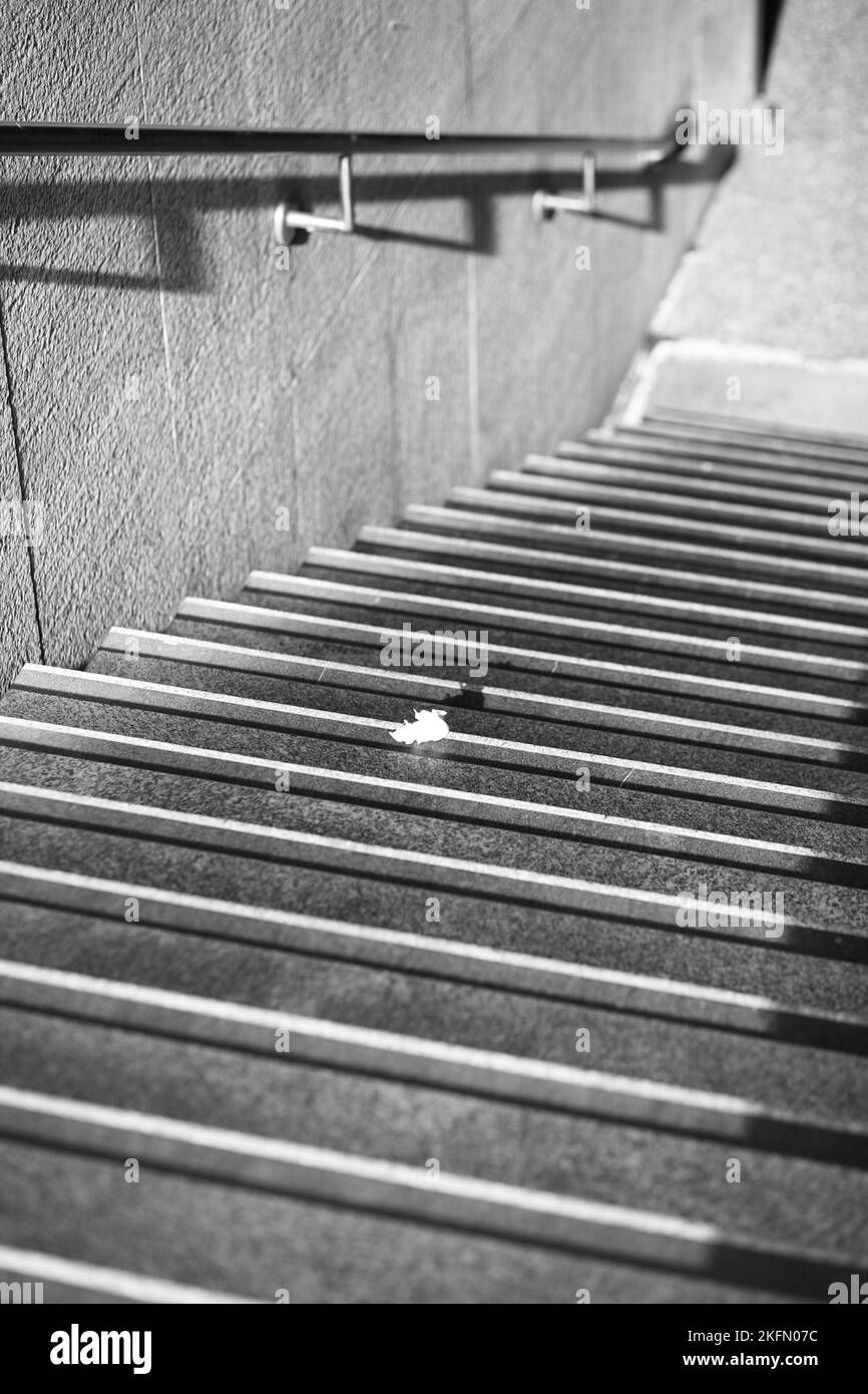 A vertical high-angle grayscale of stairs with a wall on side Stock ...
