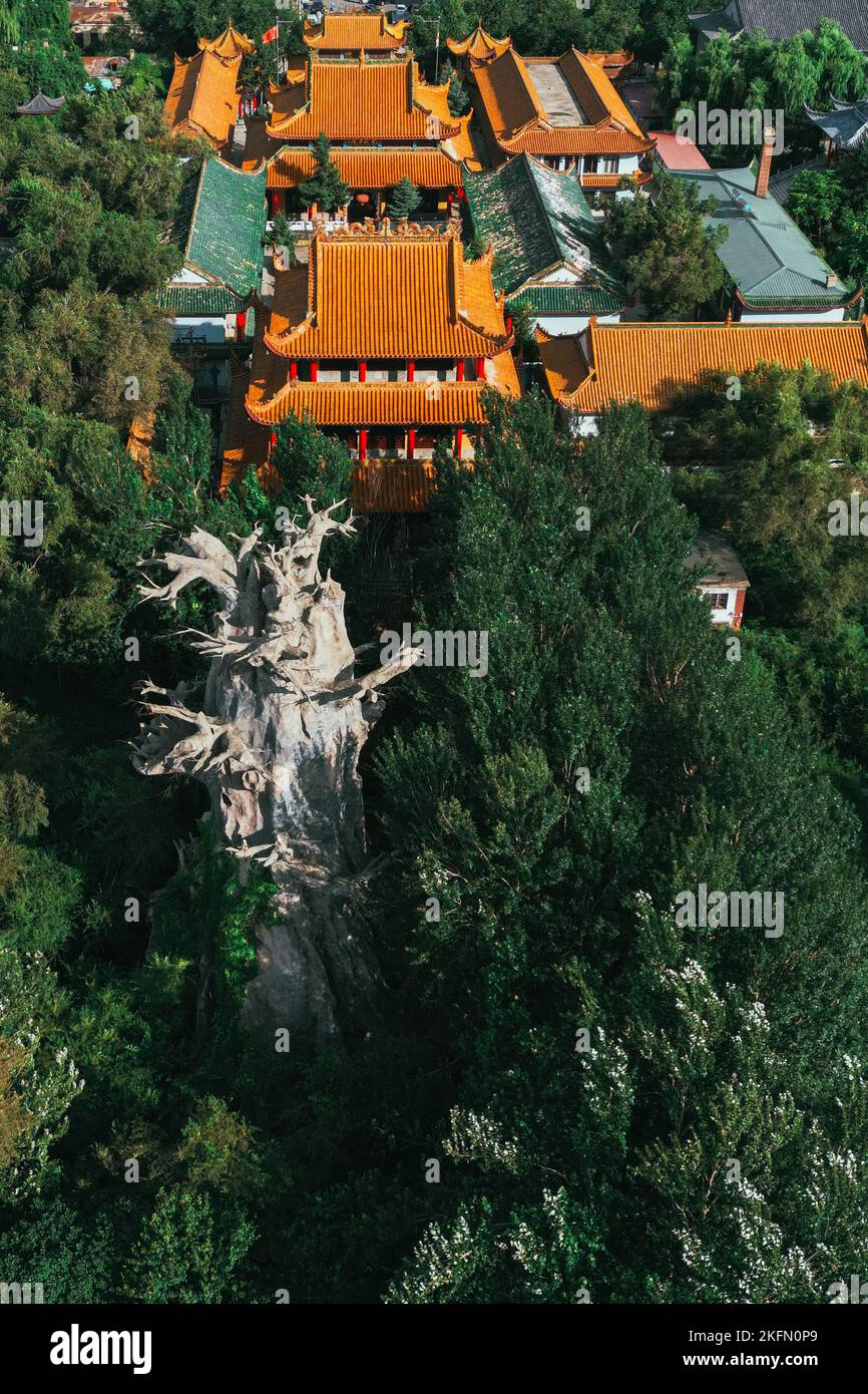 A mesmerizing shot of houses with ancient Asian architecture in the ...
