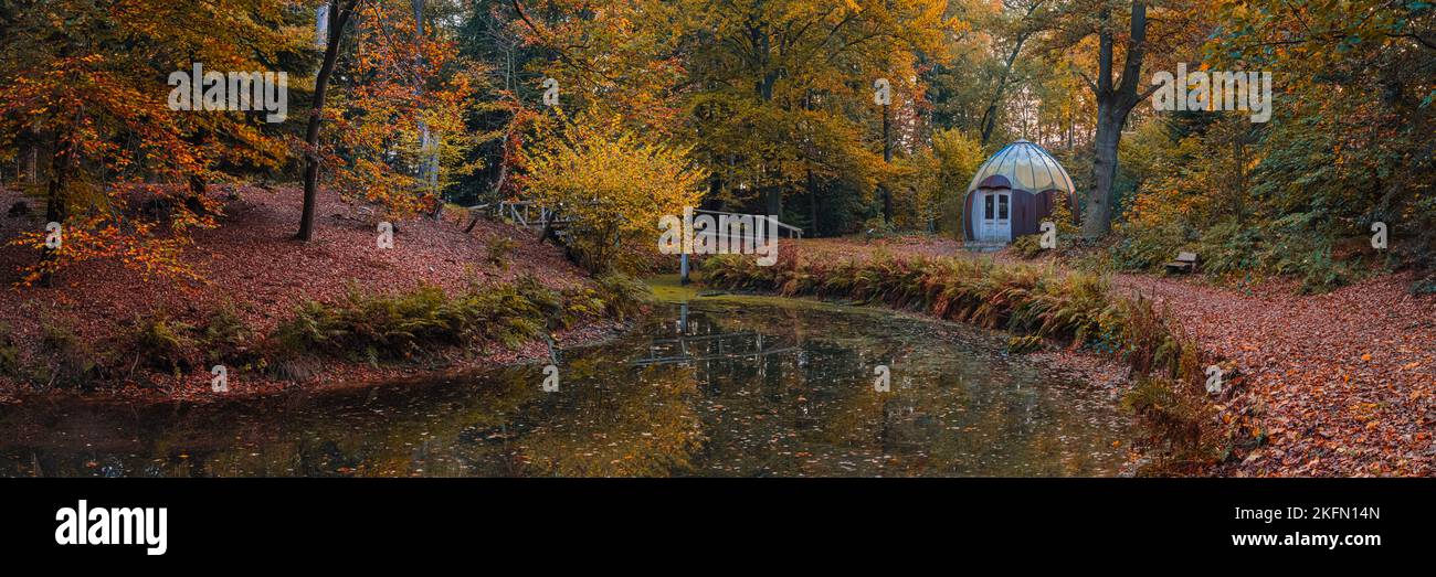 A wide 3:1 panorama image from autumn in Slochterbos (Slochter Forest ...