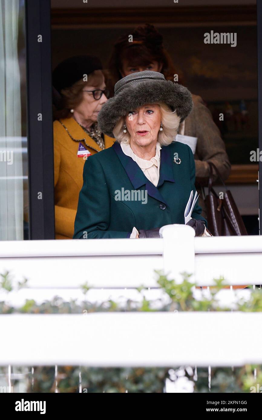 The Queen Consort in the Royal Box during Ascot's November racing ...