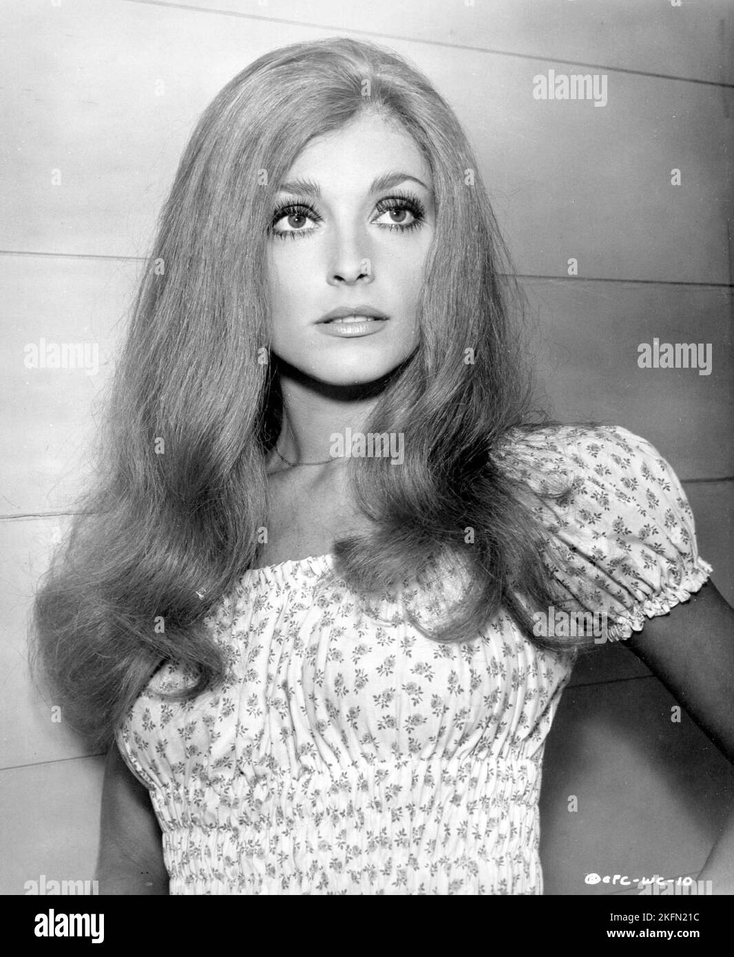 SHARON TATE in THE WRECKING CREW (1969), directed by PHIL KARLSON. Credit: COLUMBIA PICTURES ...