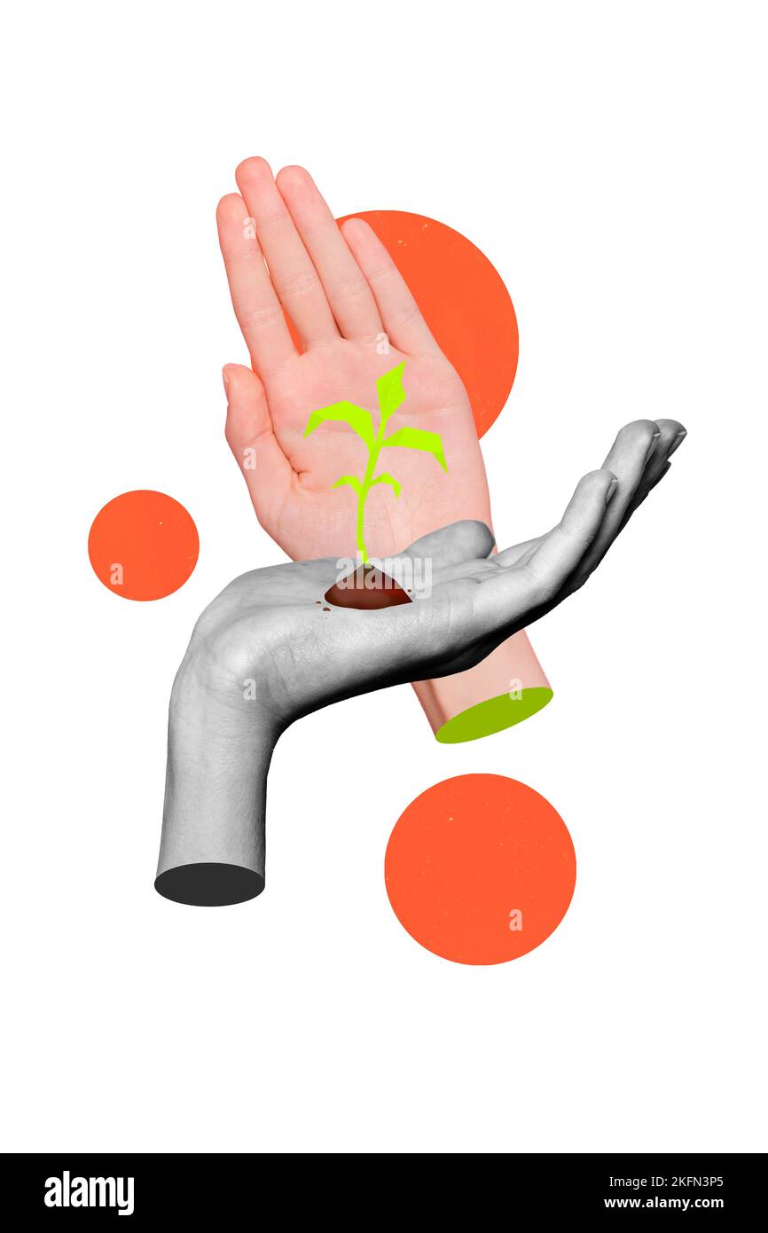 Vertical collage illustration of two human arms black white gamma hold ...