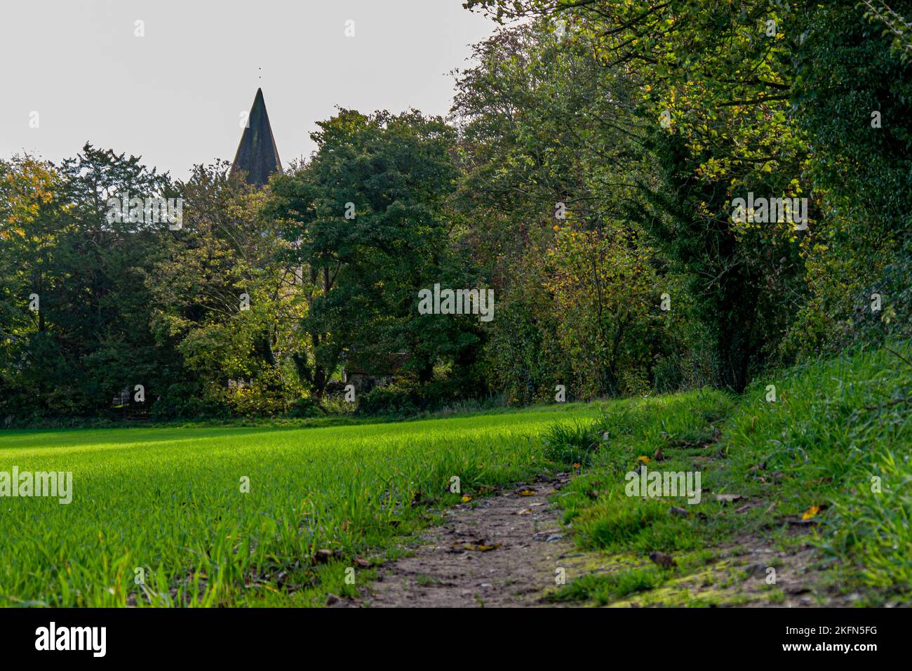 The view from the Monarch's Way as it approaches Findon Church and ...