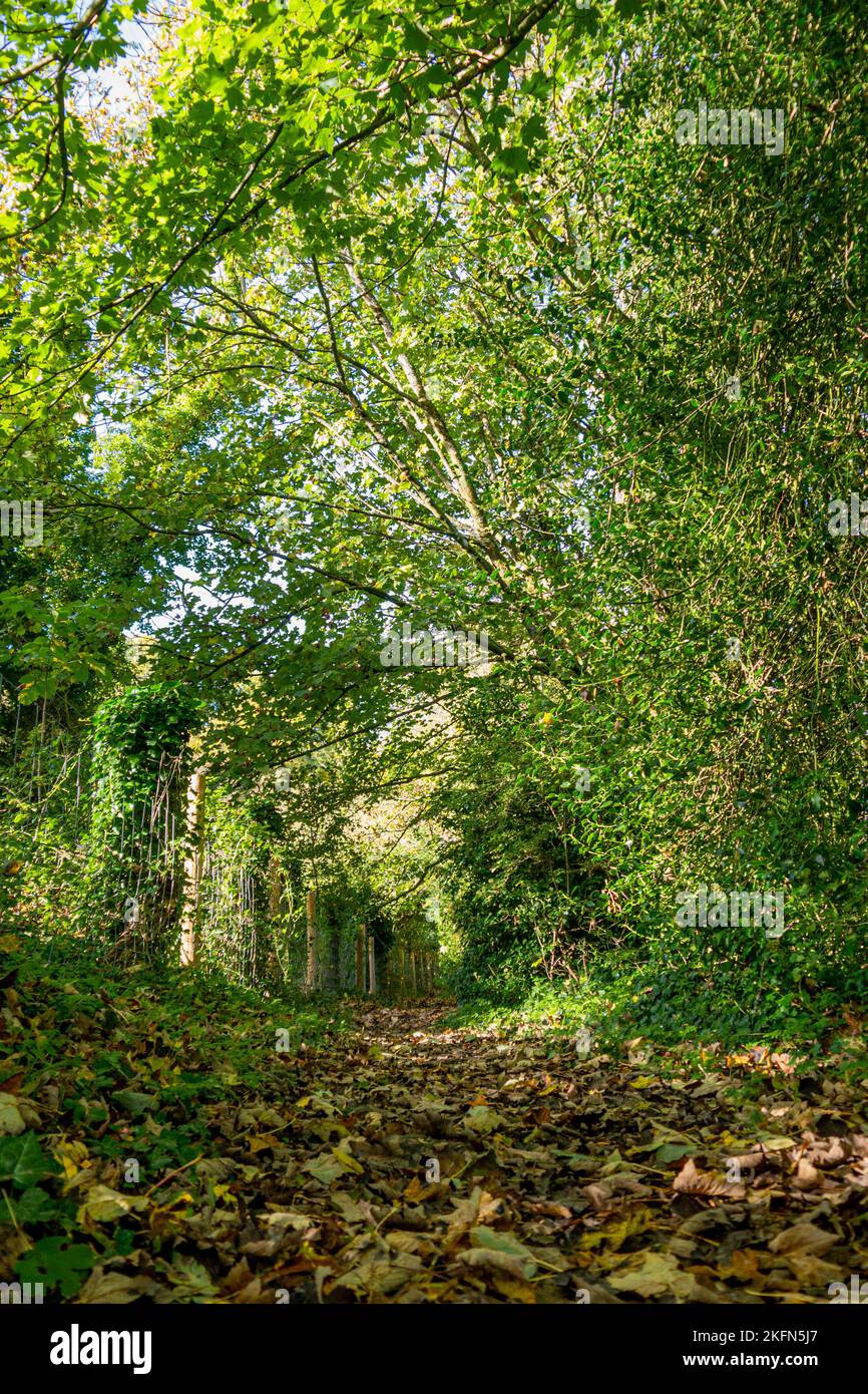 The Monarch's Way Long Distance Path as it leads away from Findon, in ...