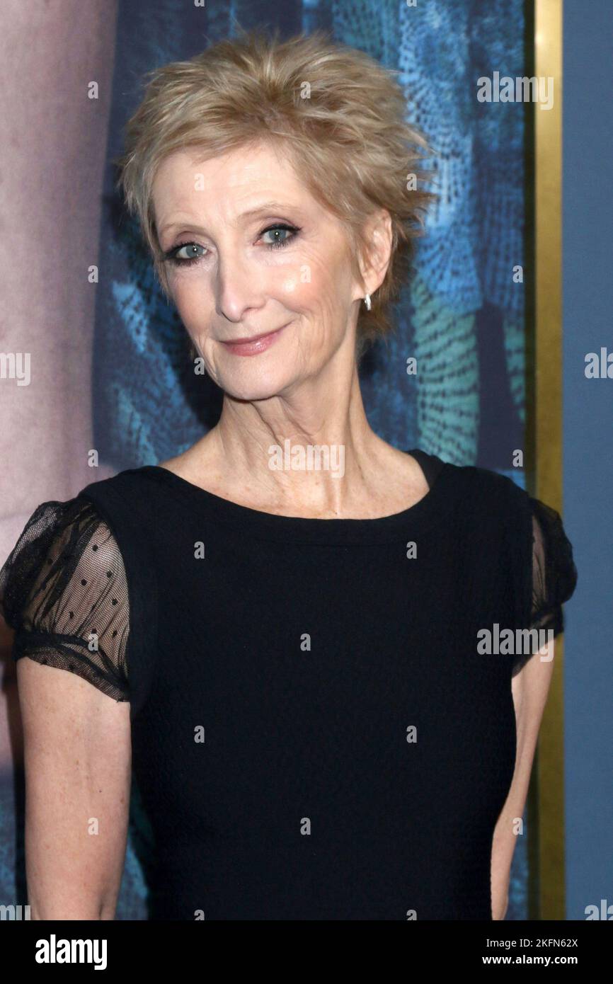 LOS ANGELES - NOV 17: Sheila McCarthy at the Women Talking Premiere at ...