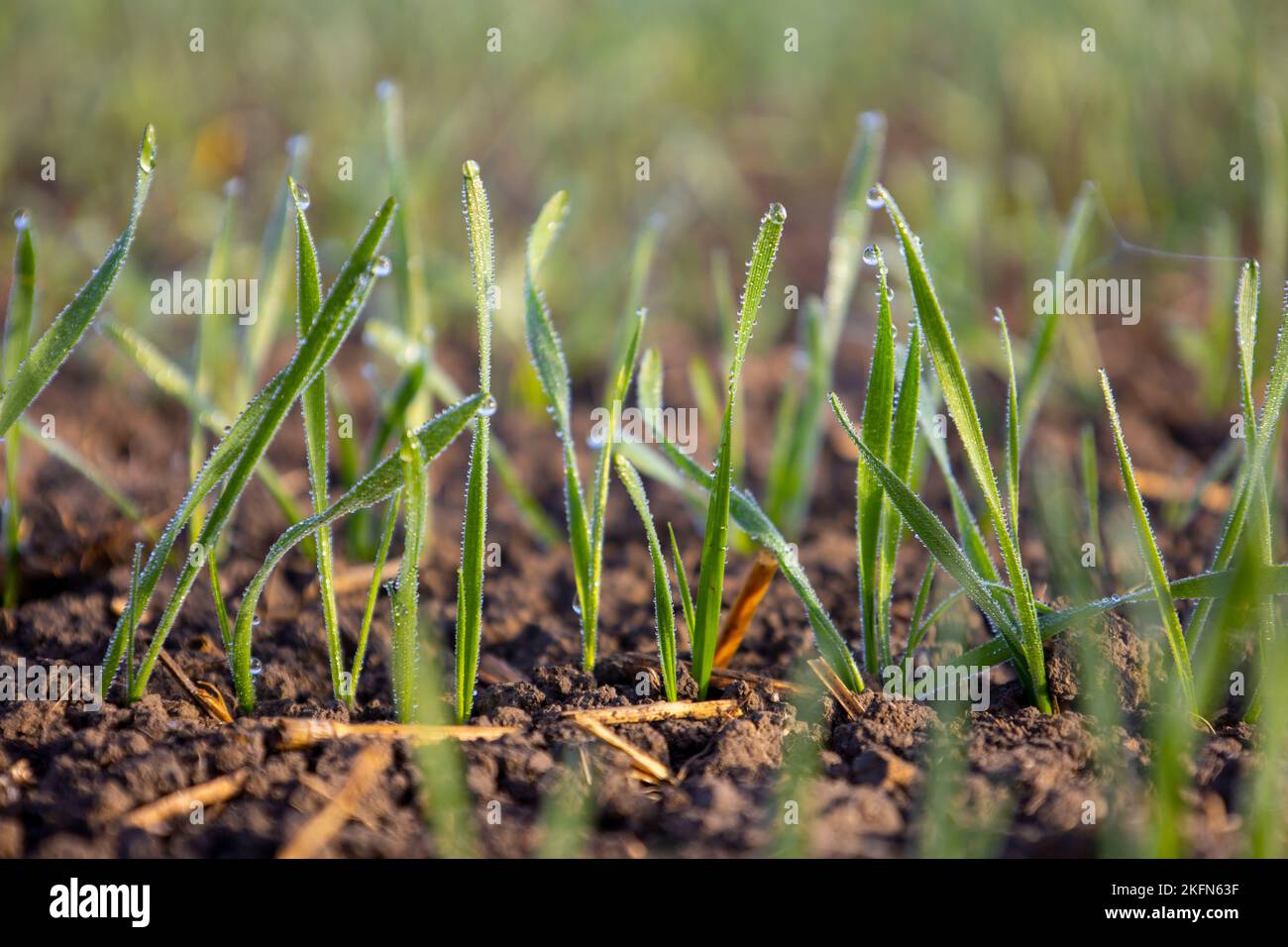 Land drops hi-res stock photography and images - Alamy