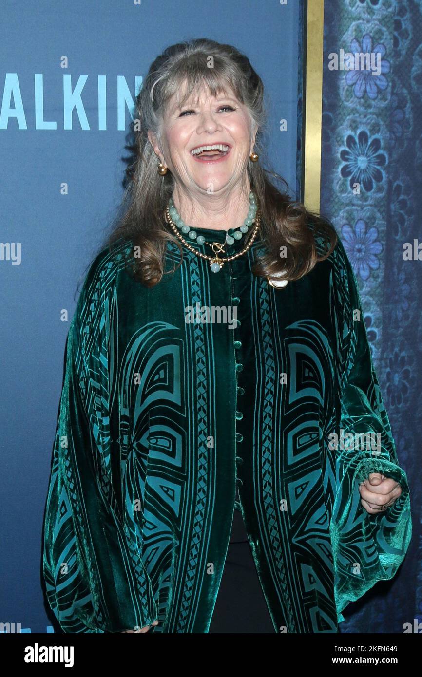 LOS ANGELES - NOV 17: Judith Ivewy at the Women Talking Premiere at ...