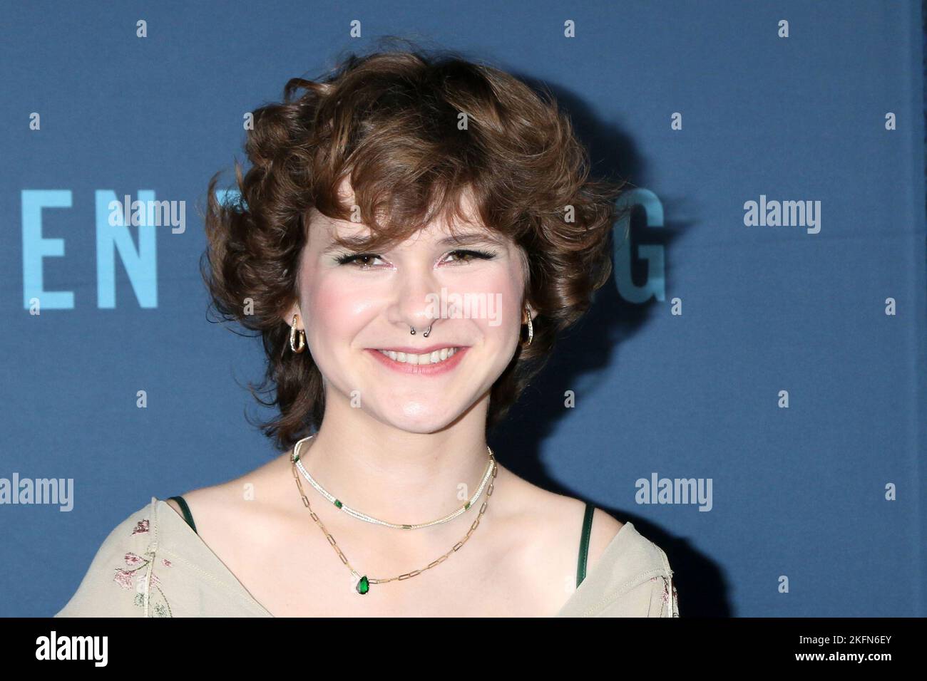 LOS ANGELES - NOV 17: Liv McNeil at the Women Talking Premiere at ...