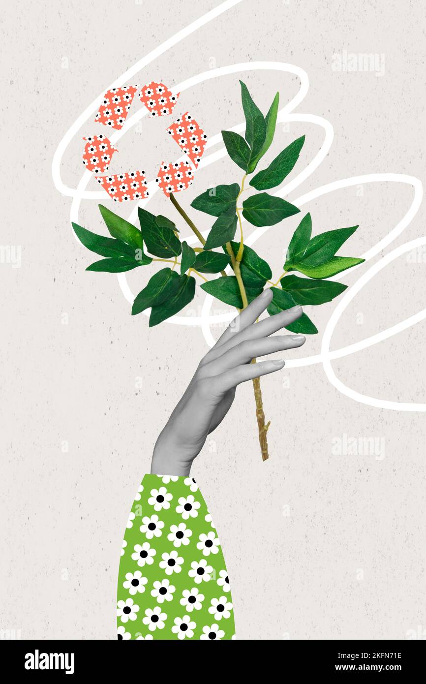 Creative poster collage of hand holding plant flower recycling sign ...