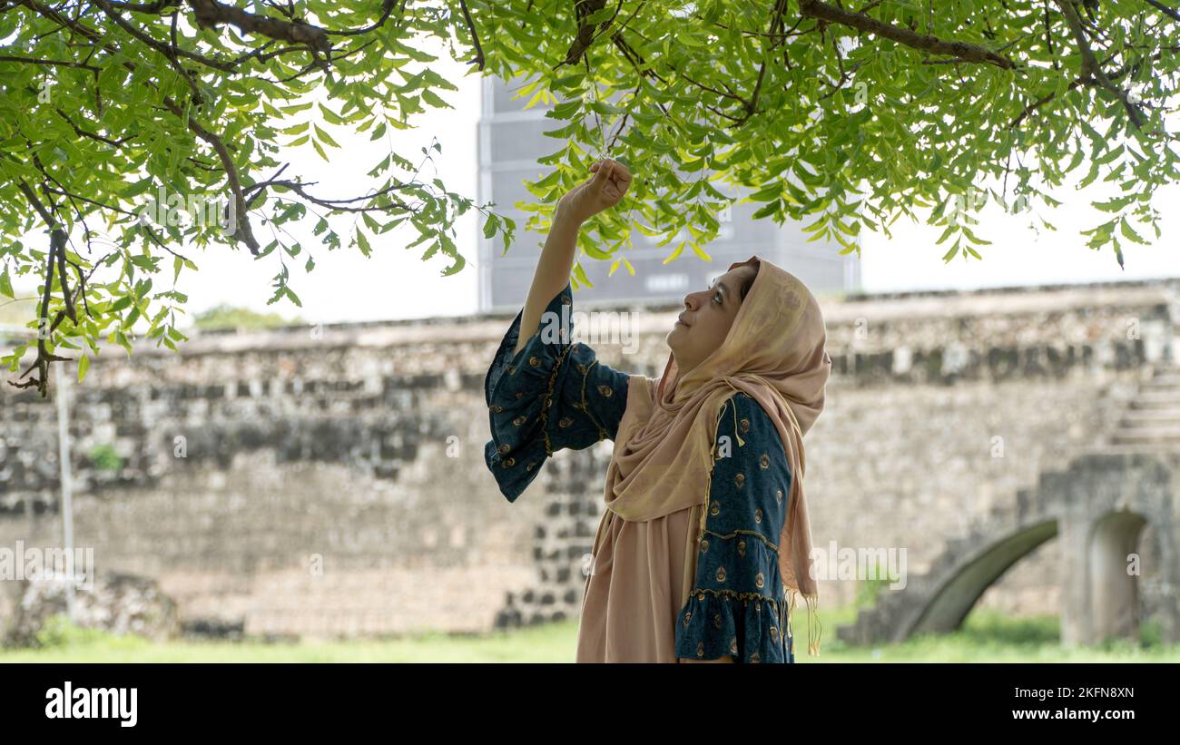 Happy Muslim women touching leaves on the tree Stock Photo - Alamy