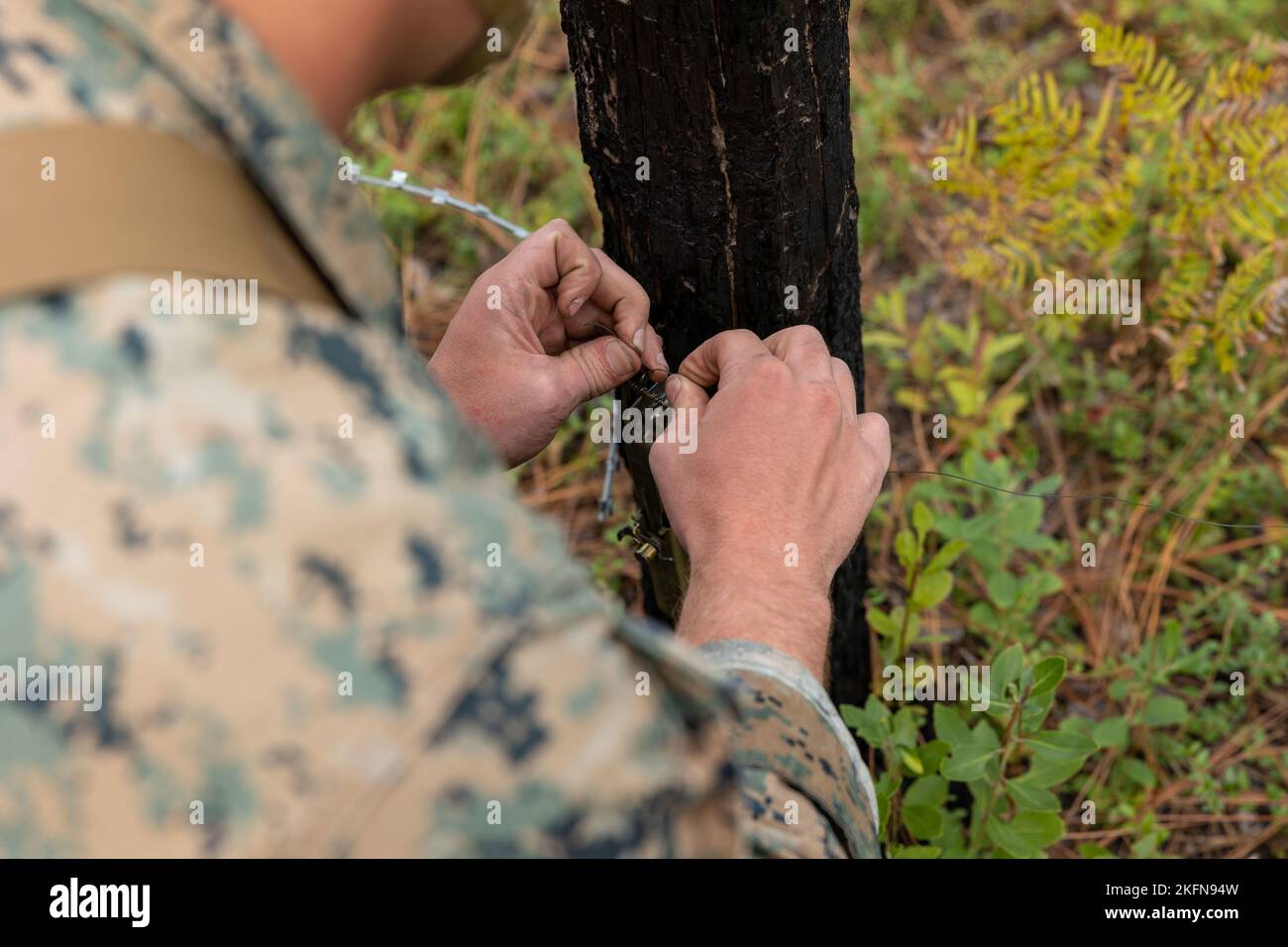 U.S. Marine Corps Lance Cpl. Parker Michaels, a native of Corinth ...