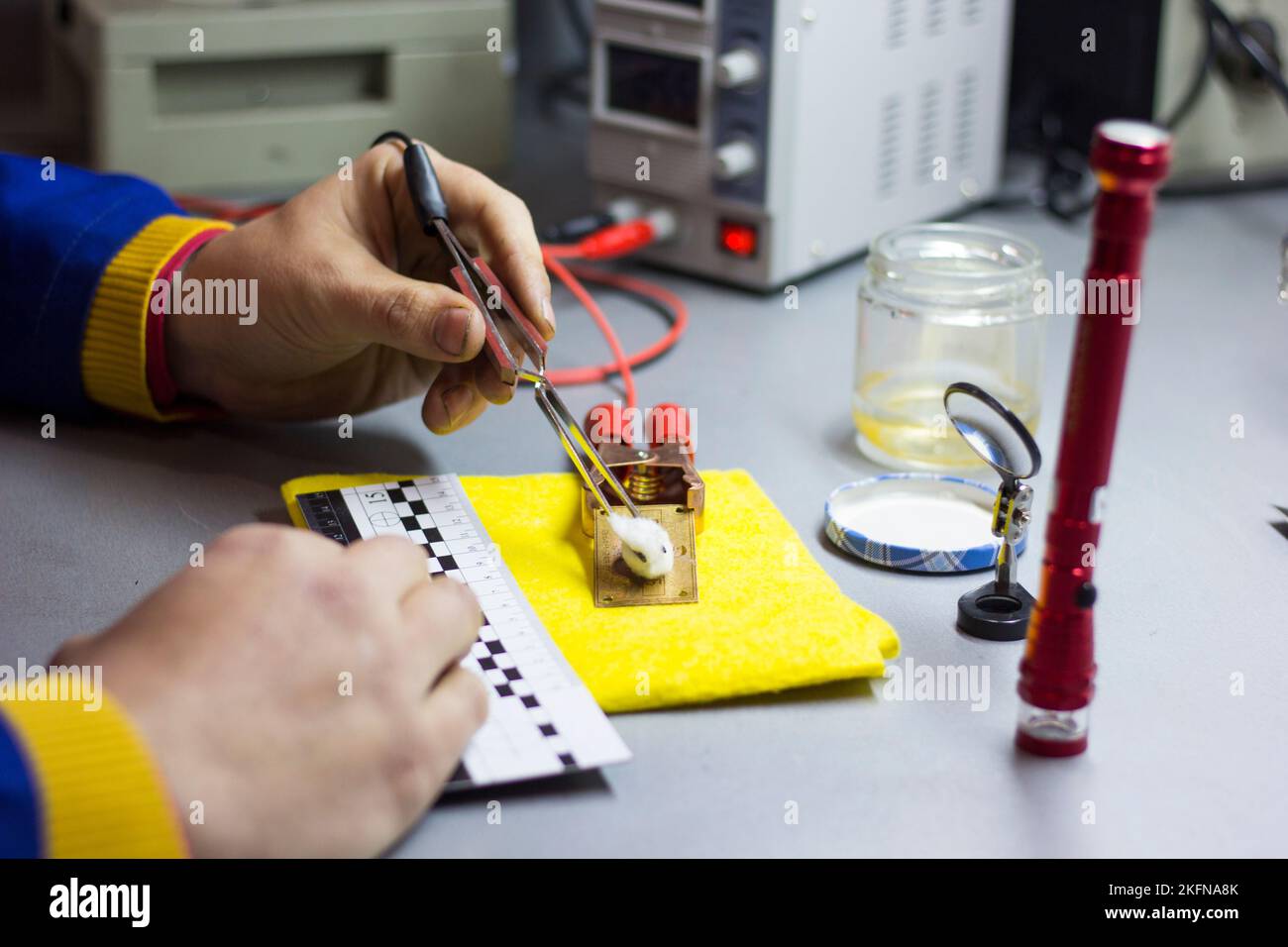 Hands of an expert hold terminals with a metal object while conducting ...